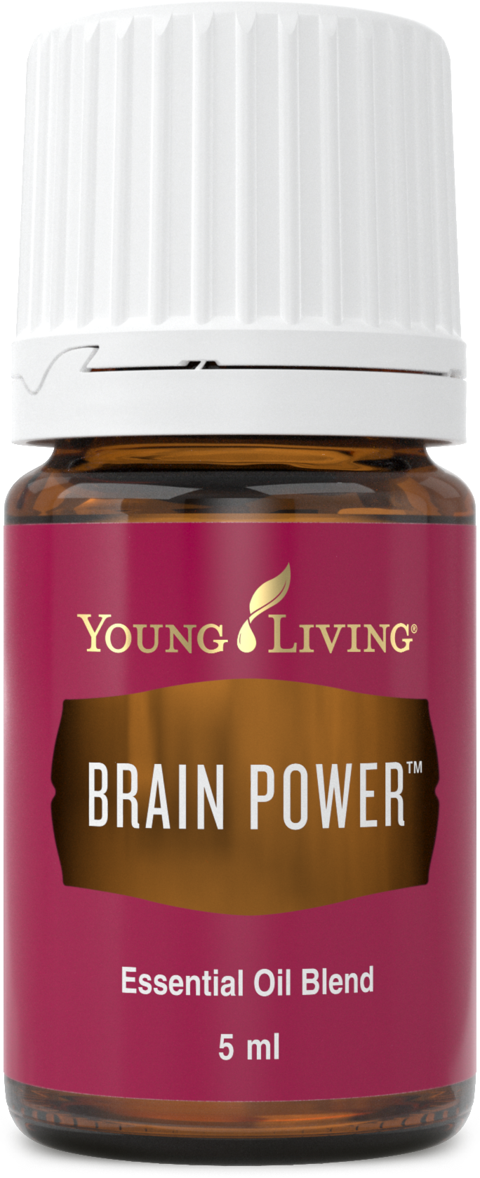 Power Up With Daily Essential Oils | Young Living Essential Oils