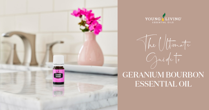 The Ultimate Guide to Geranium Bourbon Essential Oil