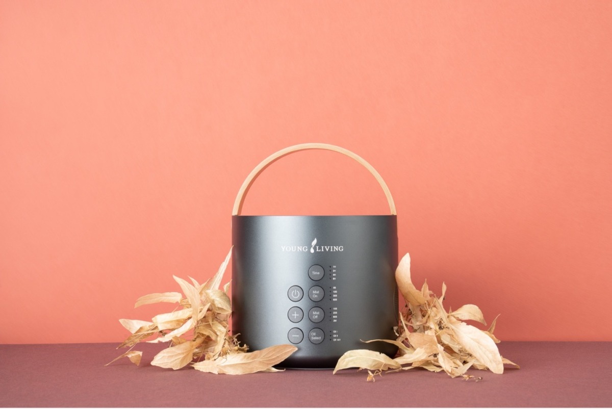 Introducing the Duet Diffuser - A Diffuser Like No Other!