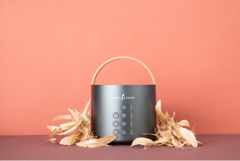 Introducing the Duet Diffuser - A Diffuser Like No Other!