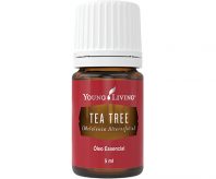 14 razões de usar o Tea Tree em sua vida - A Vida Essencial - Brasil