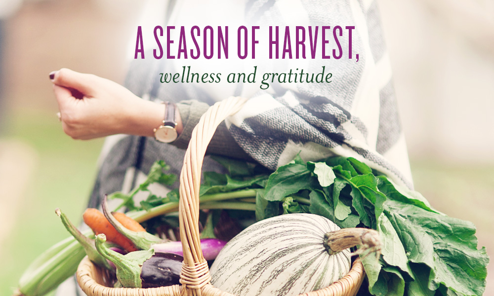 Essential Oils Blog | Young Living Canada Blog