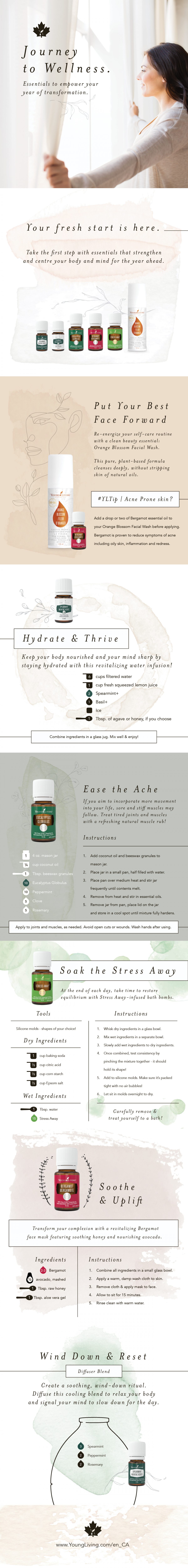 Journey to Wellness: Essentials to empower your year of transformation ...