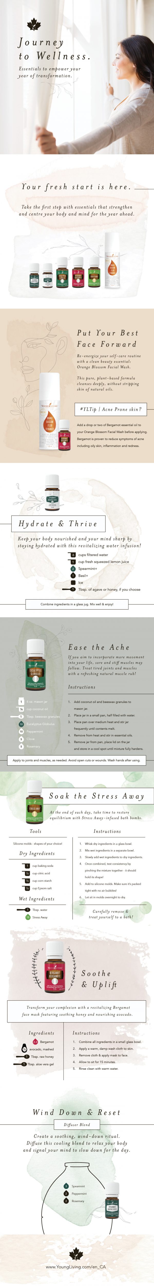 Journey to Wellness: Essentials to empower your year of transformation ...