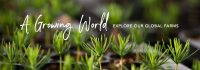 A Growing World: Explore our global farms | Young Living Canada Blog