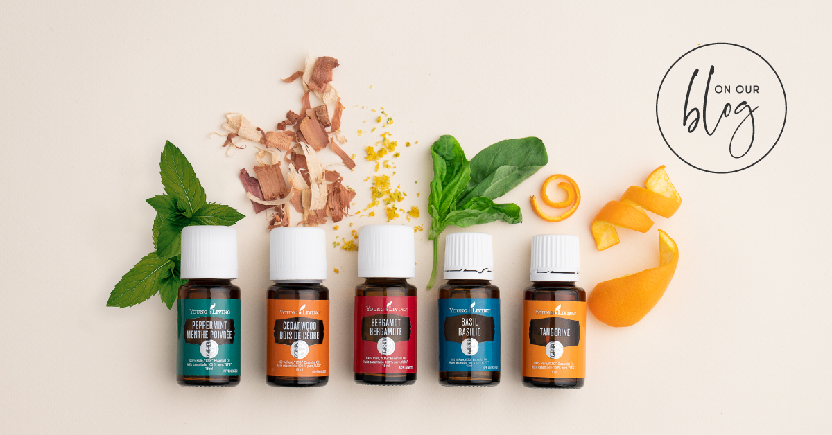The story behind essential oil prices | Young Living Canada Blog