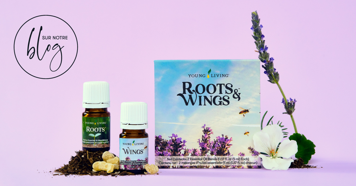 Atteignez de nouveaux sommets avec notre ensemble Roots & WingsMC ...