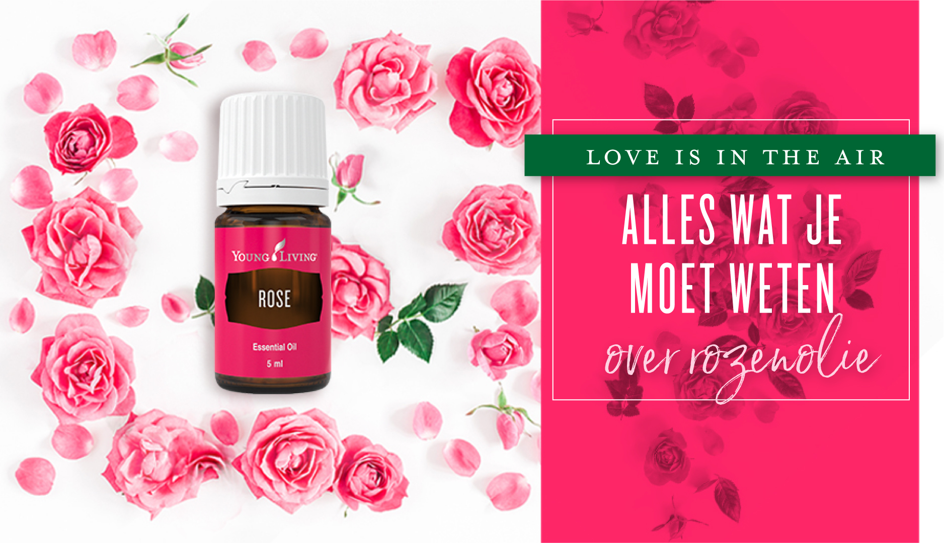 Young Living blog - De officiële blog van Young Living
