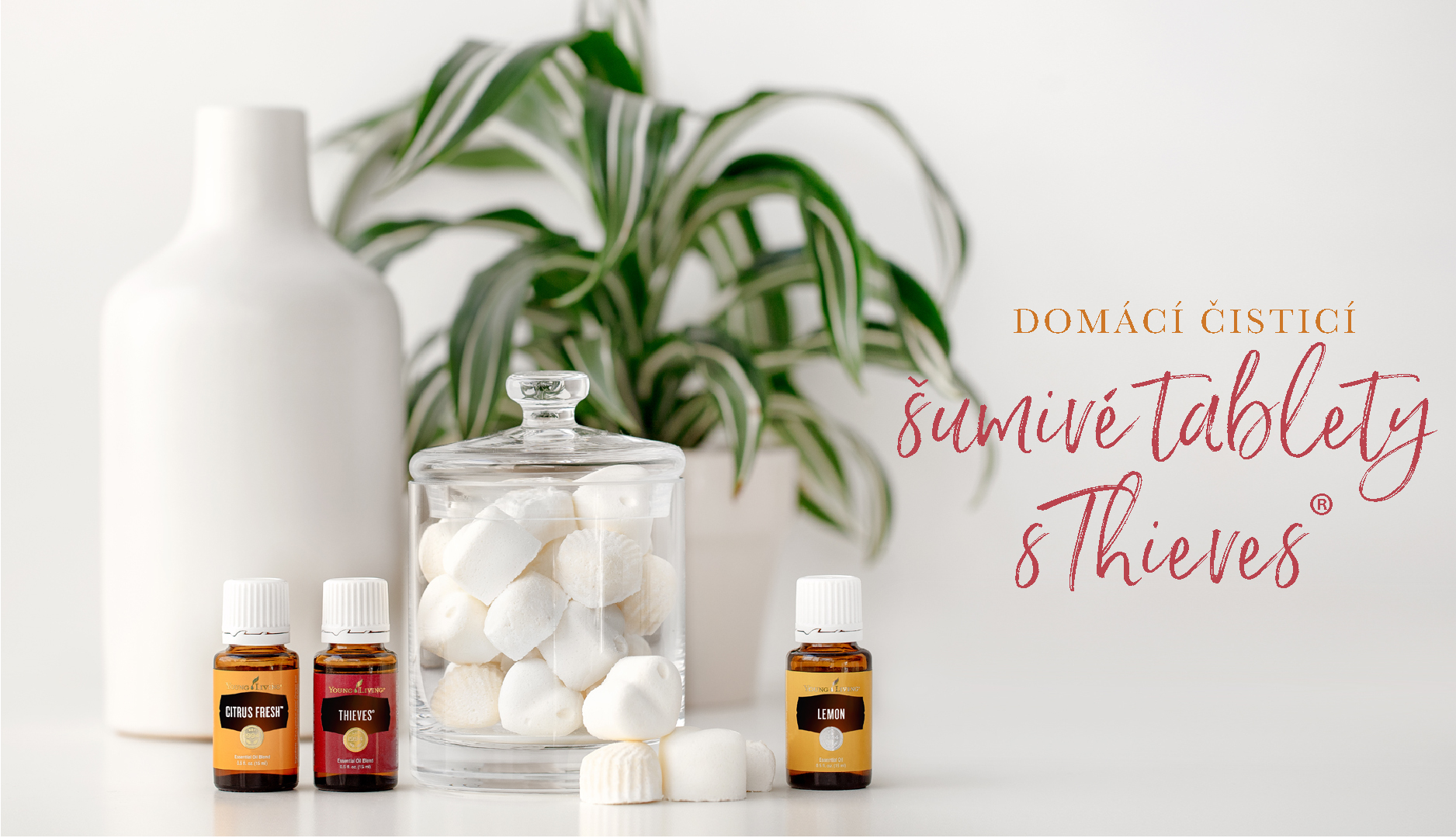 Young Living Blog - Oficiální Blog Young Living