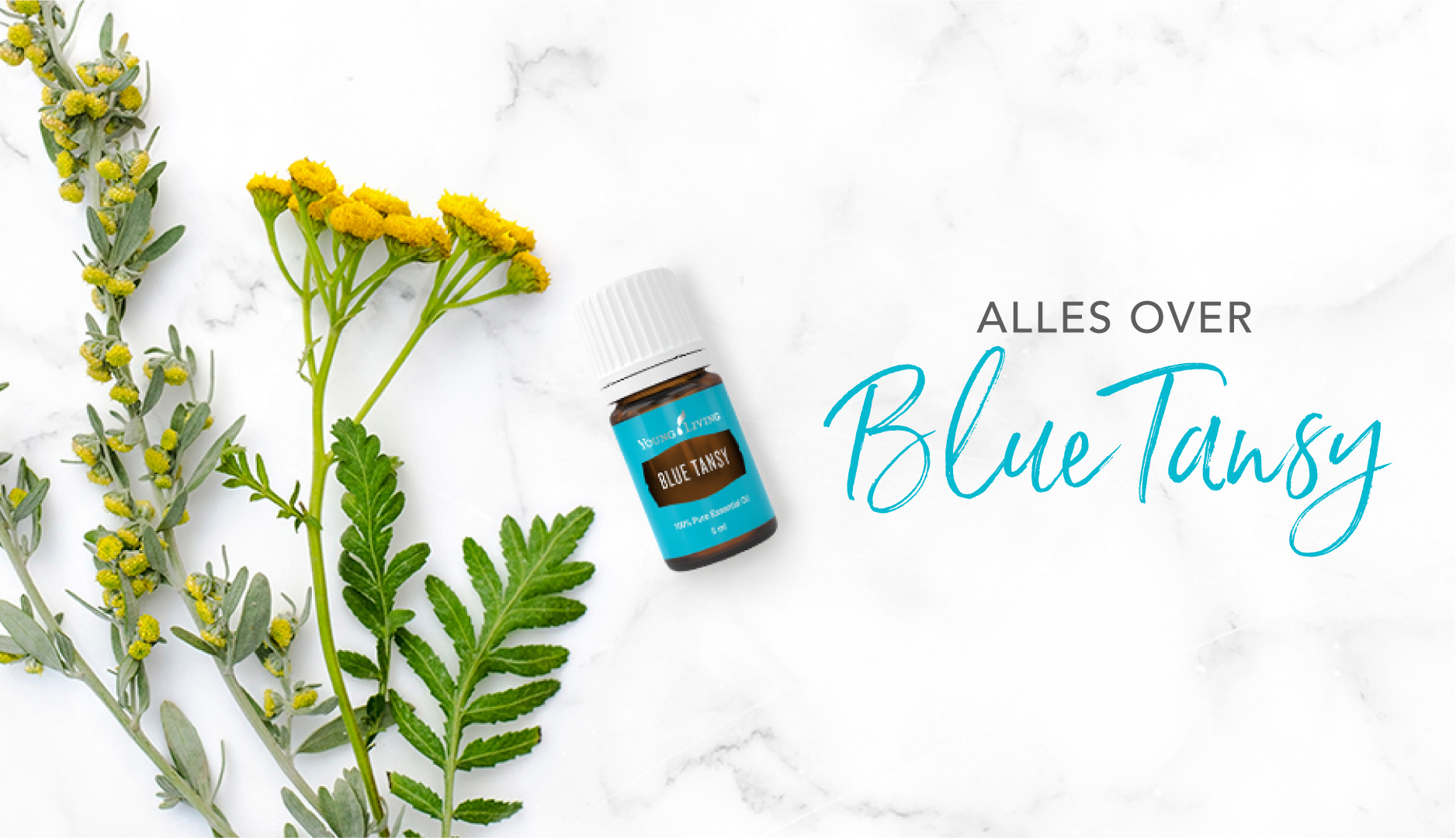 Young Living blog - De officiële blog van Young Living