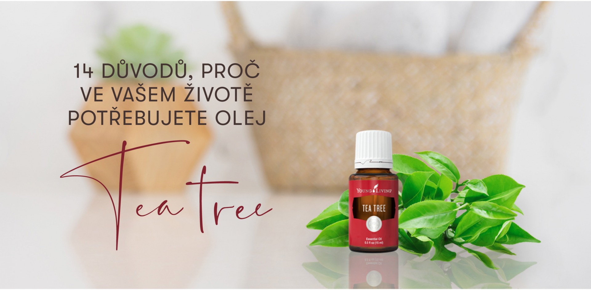 14 důvodů, proč ve vašem životě potřebujete olej Tea Tree - Young ...