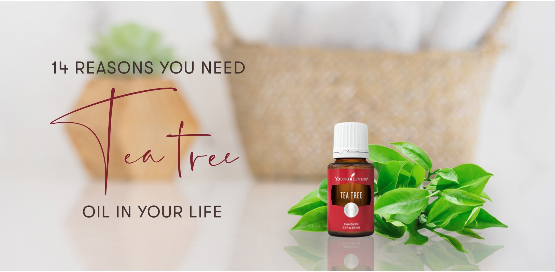 14 reasons you need Tea Tree oil in your life - Young Living Blog