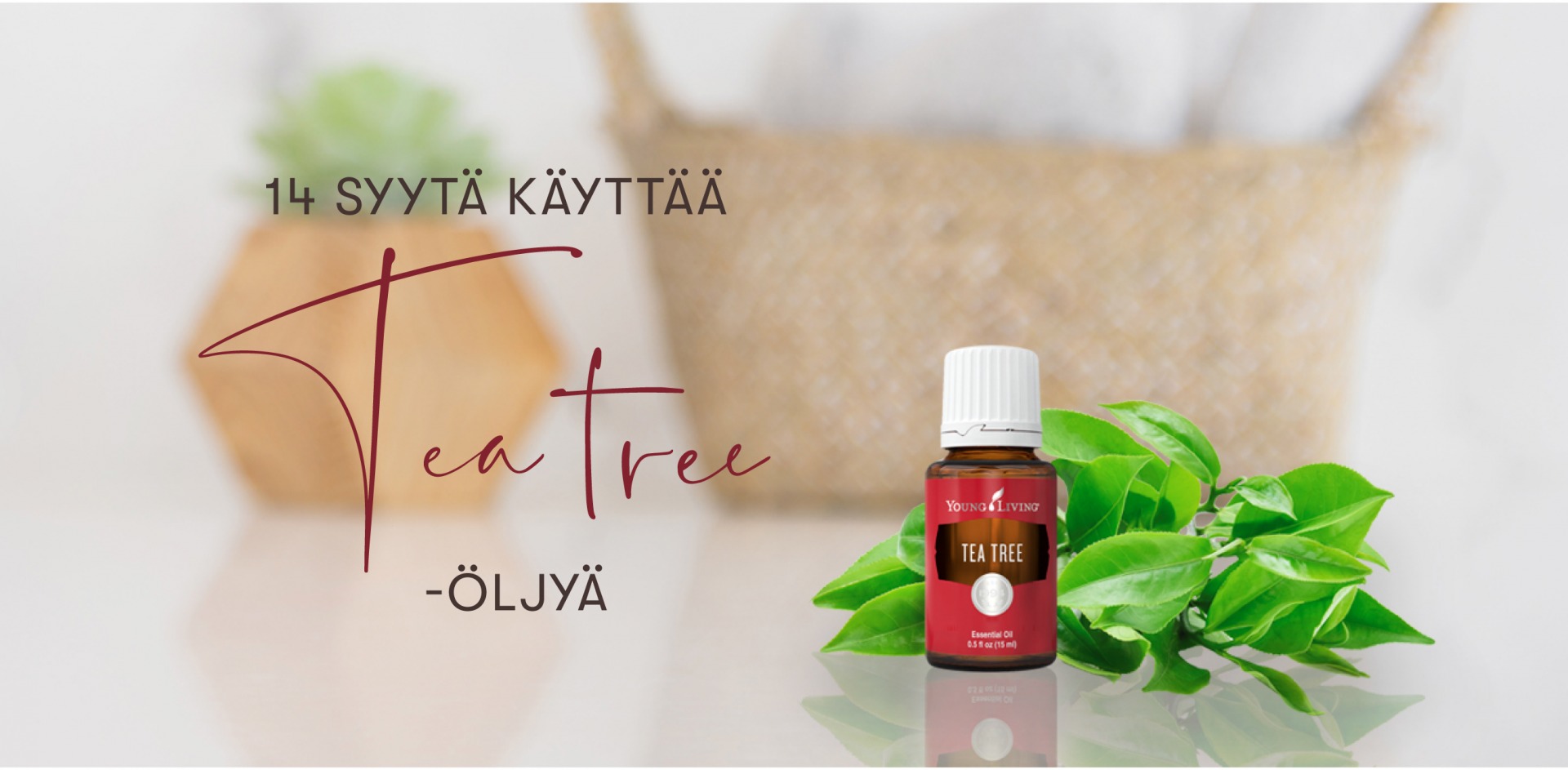 14 syytä käyttää Tea Tree -öljyä - Young Living -blogi