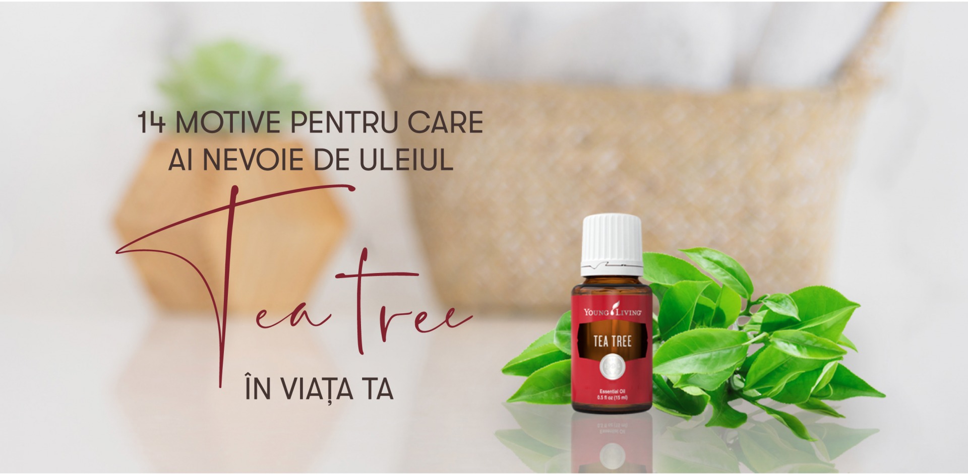 14 motive pentru care ai nevoie de uleiul Tea Tree în viața ta - Blog ...