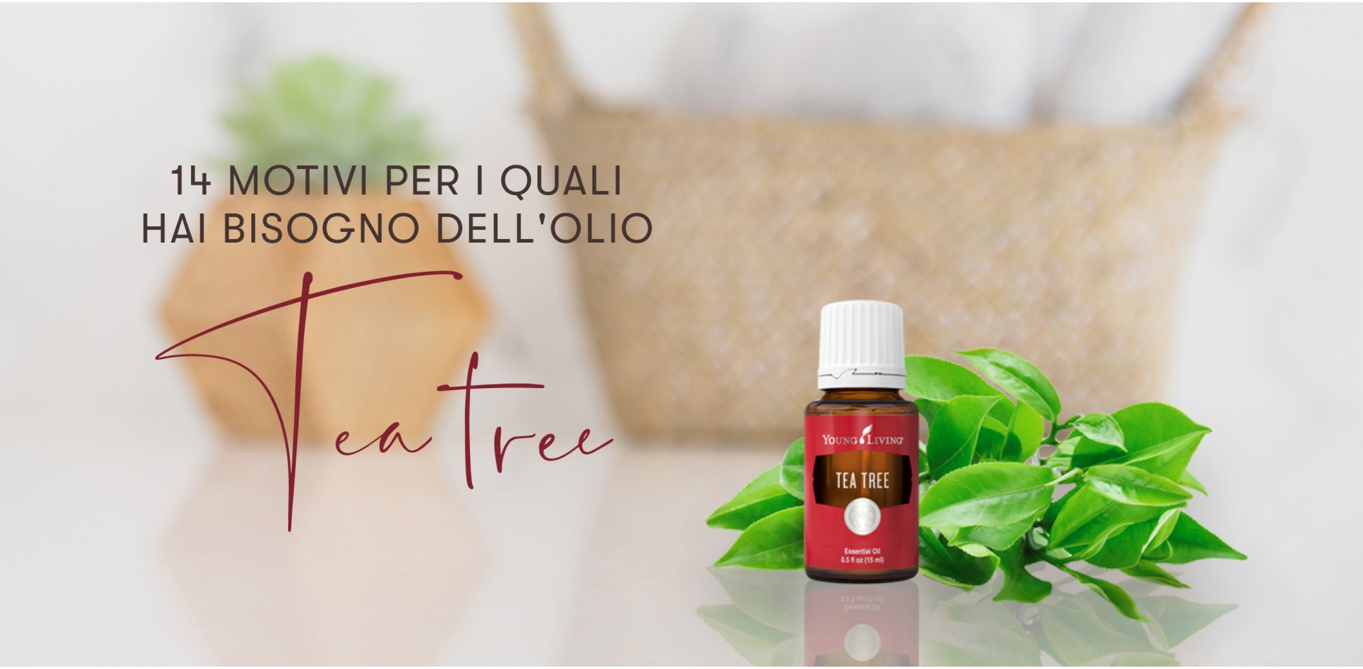 14 motivi per i quali hai bisogno dell'olio Tea Tree - Blog di Young Living