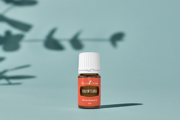 Ravintsara Essential Oil | Benefits & Uses - Young Living Blog