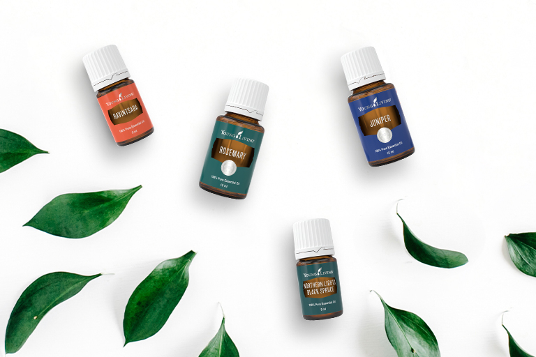 Ravintsara Essential Oil | Benefits & Uses - Young Living Blog