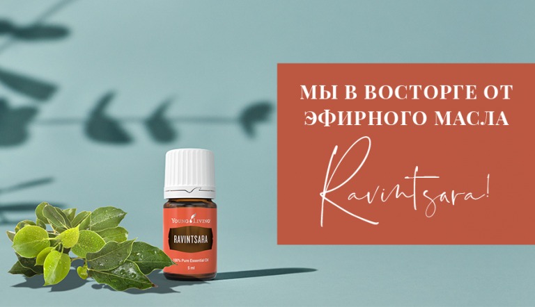 Блог Young Living - Официальный блог Young Living