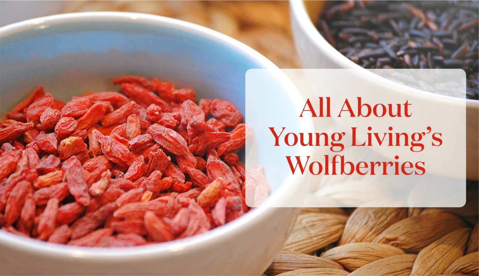 Young Living Blog - The Official Blog of Young Living for Europe