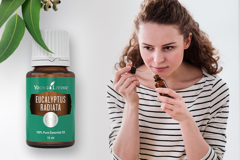 Alles über ätherisches Eukalyptusöl: Anwendung/Wirkung - Young Living Blog