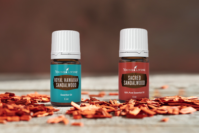 Aceite esencial de sándalo: origen y usos - Young Living Blog