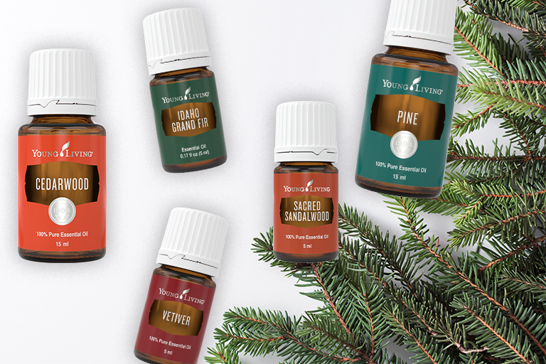 Scent Wheels 101: Understanding the Art of Blending Essential Oils ...