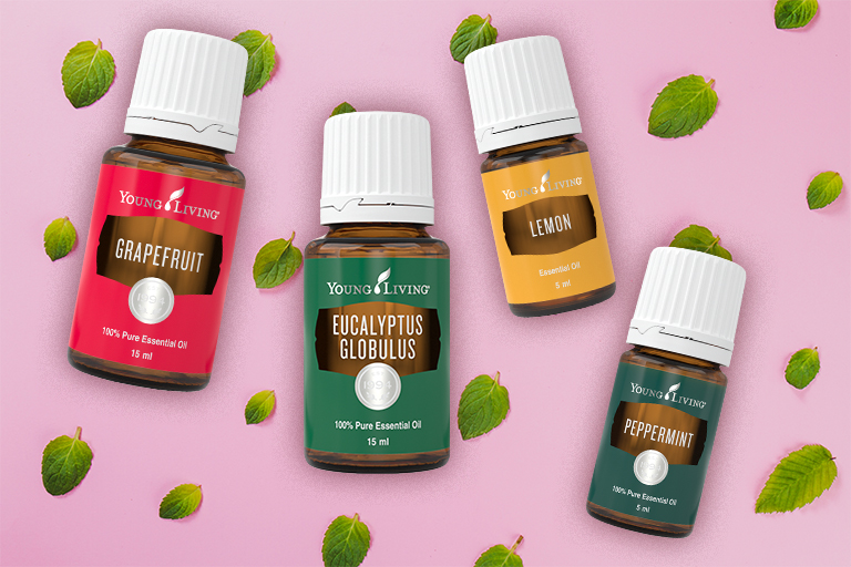 Scent Wheels 101: Understanding the Art of Blending Essential Oils ...