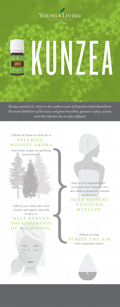 Get to Know Kunzea Essential Oil