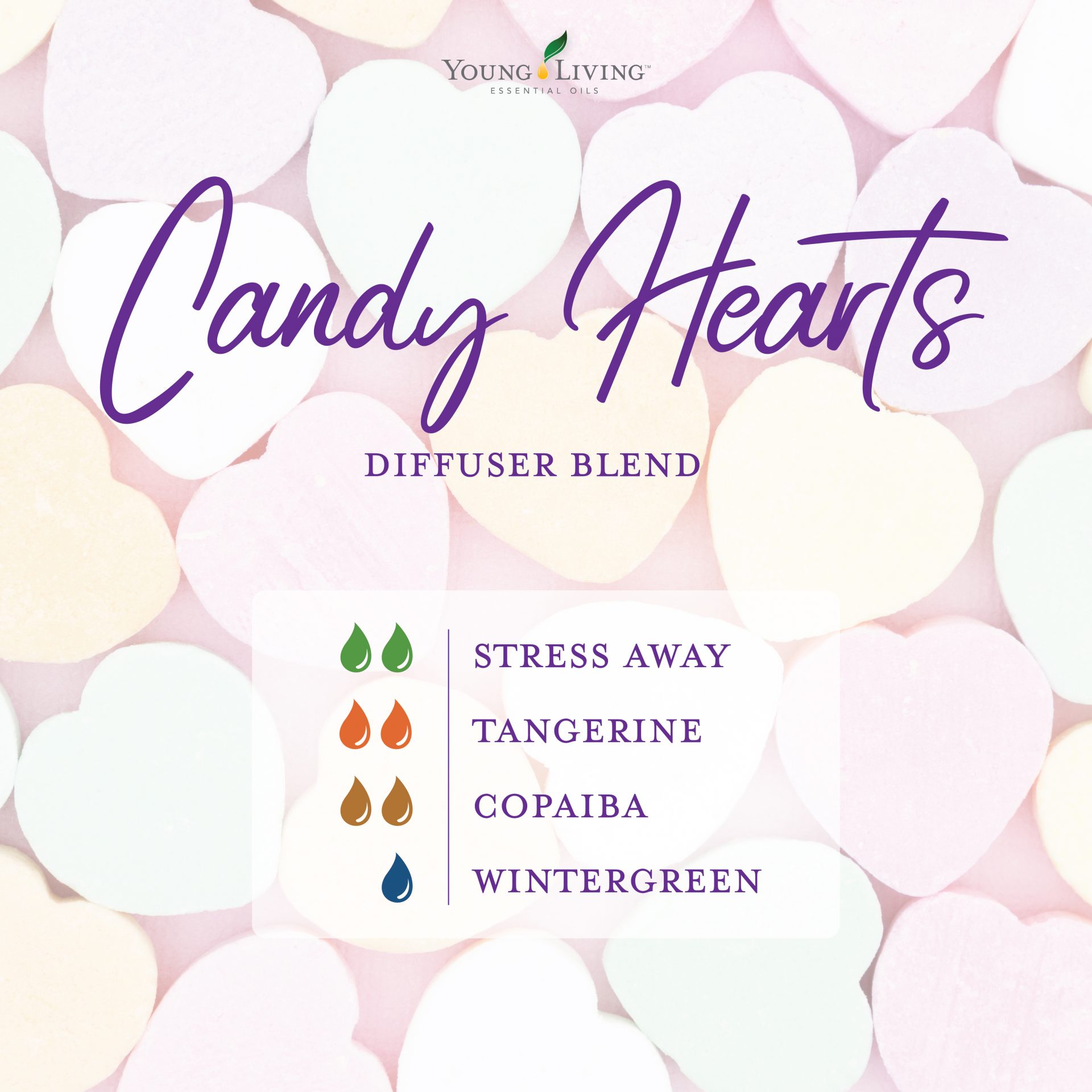 5 Diffuser Blends for Romance to Try in 2020 - Young Living Blog Indonesia