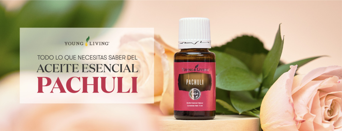 Todo lo que necesitas saber del aceite esencial Pachuli