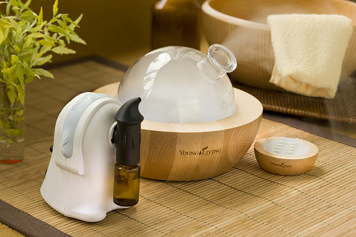 Creating Custom Essential Oil Diffuser Blends Young Living Blog