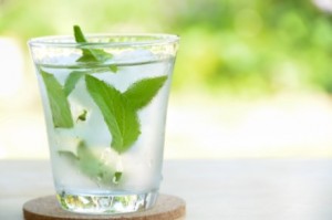 Grapefruit-Mint Spritzer Recipe