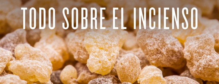 Medios Archives | El Blog de Young Living