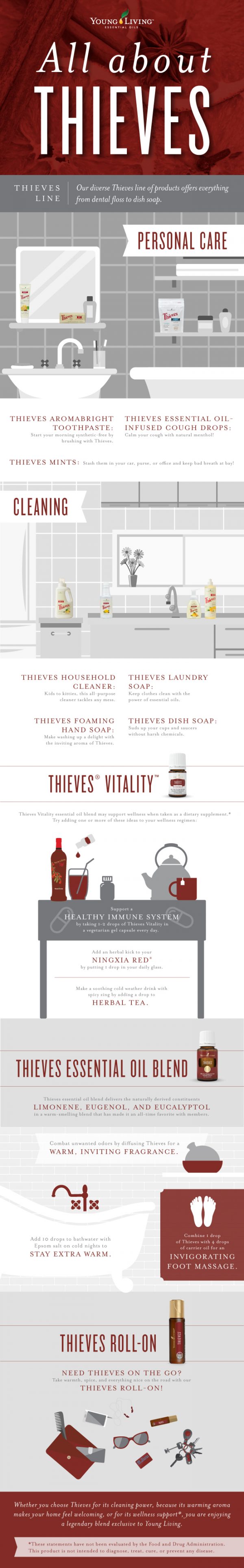 All About Thieves - Vital 180 Community