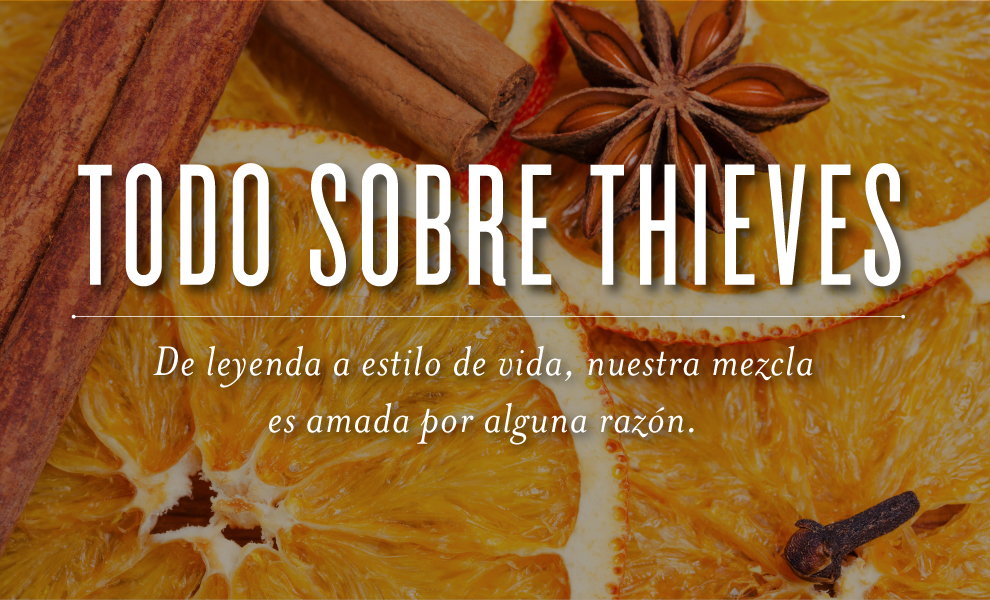 Todo Sobre Thieves | Living Lights Embrace