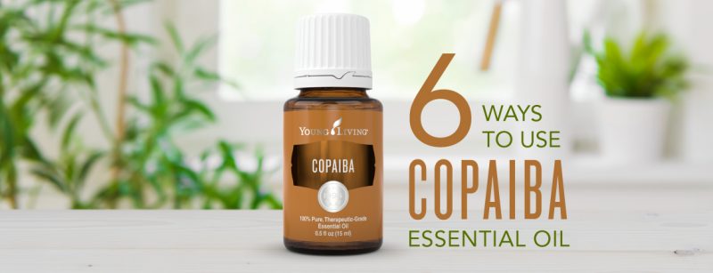 6 Copaiba Oil Uses & Benefits | Young Living Blog