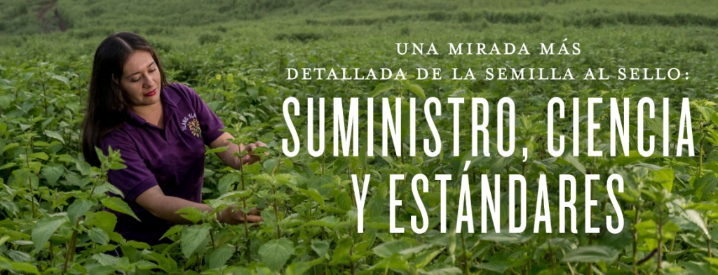 Medios Archives | El Blog de Young Living