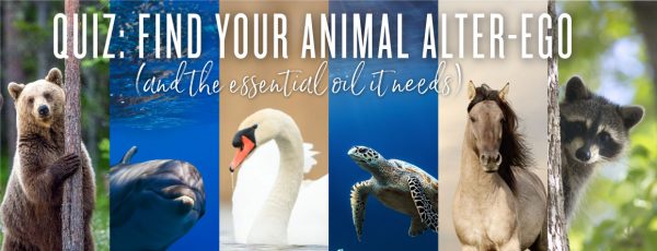 Essential Oils Quiz | Spirit Animal | Young Living Blog