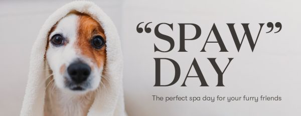 “Spaw” day: The perfect spa day for your furry friends | Young Living ...