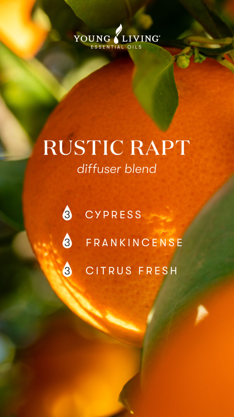 Make Cypress an evergreen staple in your home | Young Living Blog - US EN
