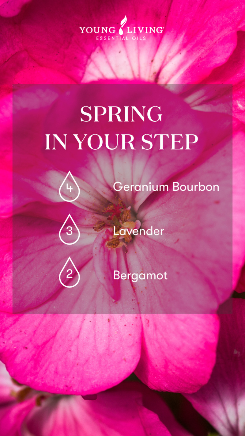 Geranium Bourbon: Fresh, floral, sweet | Young Living Blog - US EN