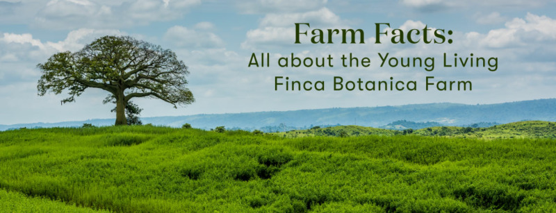 Get to Know the Young Living Finca Botanica Farm | Young Living