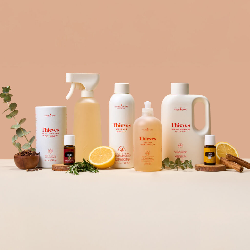 Make A Shift to Low Tox Living with Thieves – Malaysia Learning Center