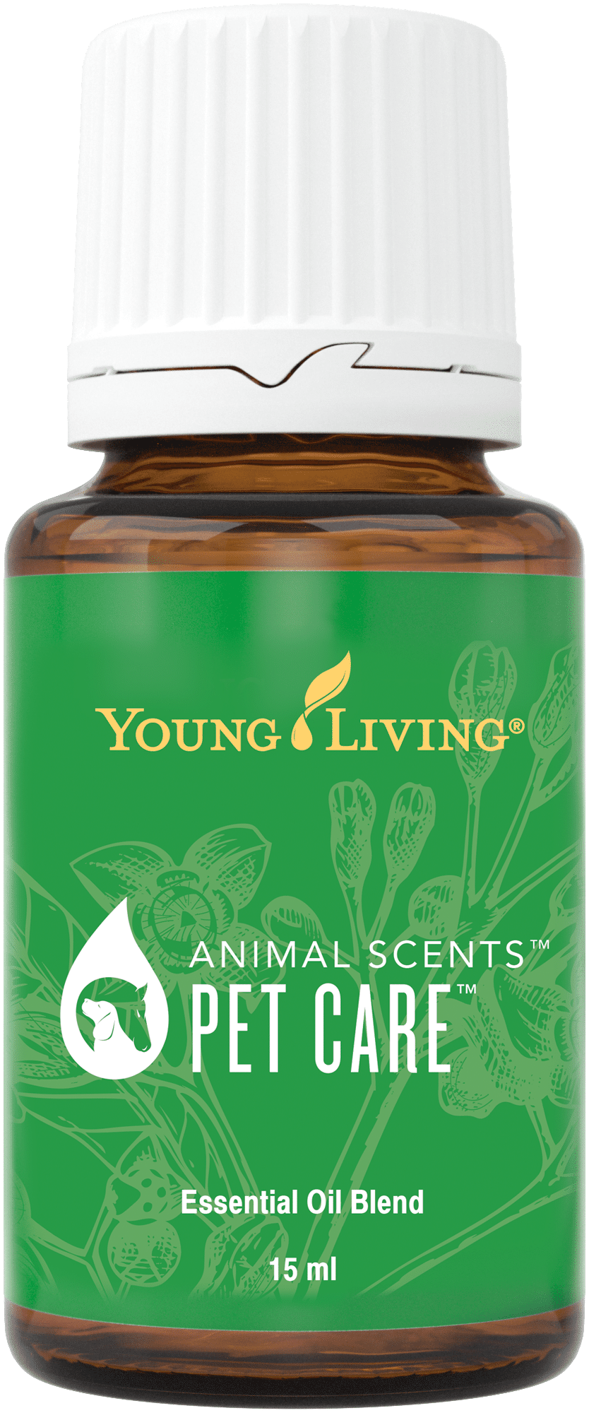 Animal Scents → Spaw Day For Fur Kids - Malaysia Learning Center