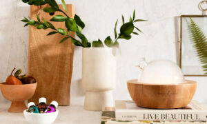 Young Living Diffusers – Malaysia Learning Center