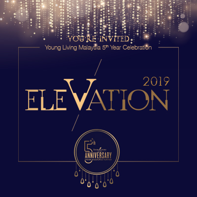 Slique Tea Cinnamon Oolong Cacao | Essential Oil & Aromatherapy